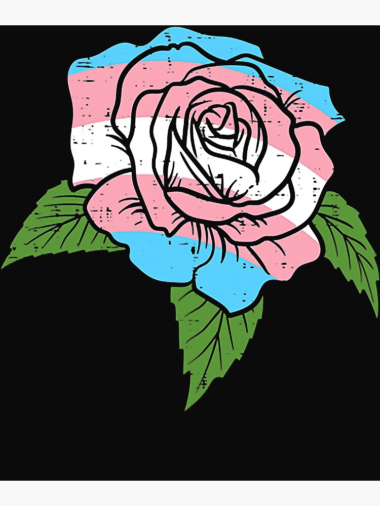 "Transgender Rose Flower Trans Pride Flag LGBT " Canvas Print for Sale ...