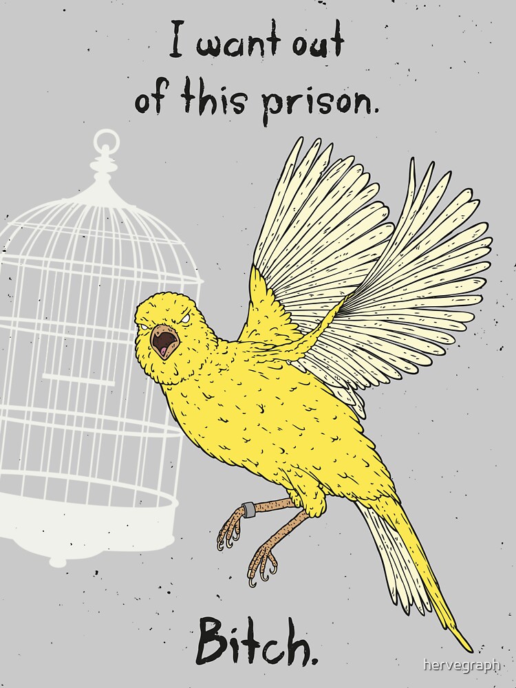 "Angry Canary" Sticker for Sale by hervegraph | Redbubble