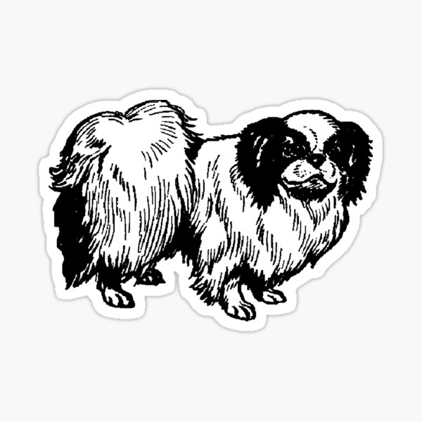 "JAPANESE CHIN-2" Sticker for Sale by IMPACTEES | Redbubble