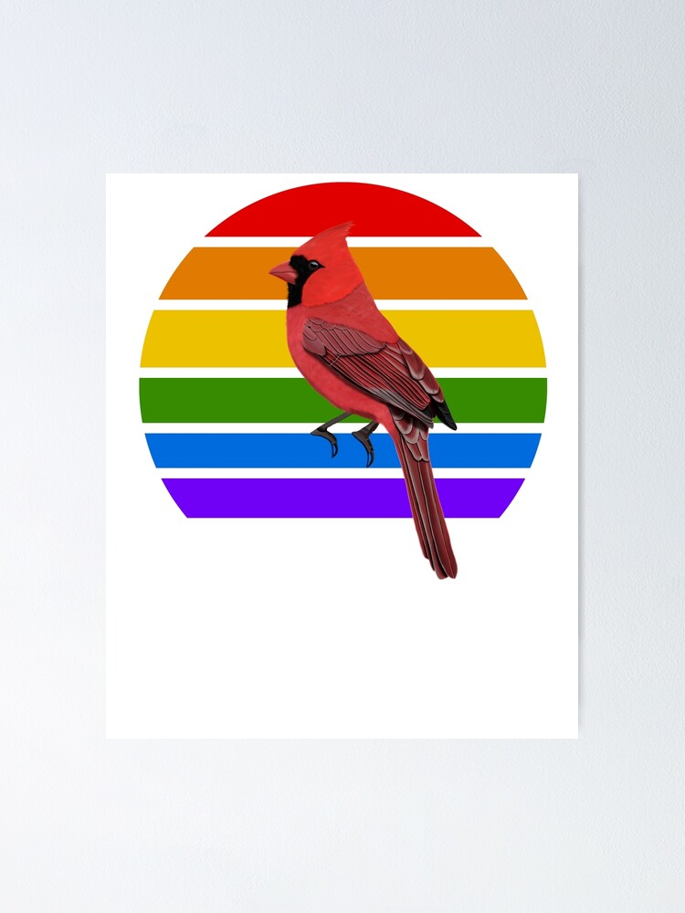 "Northern Cardinal Rainbow Bird Birdlover Birdwatcher Diversity Pride ...