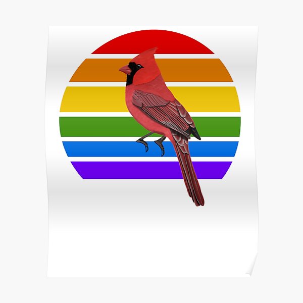 "Northern Cardinal Rainbow Bird Birdlover Birdwatcher Diversity Pride ...