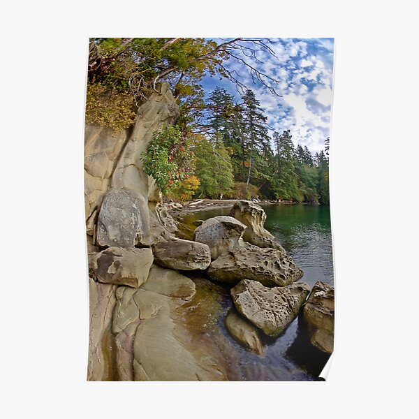 "Larabee State Park on Chuckanut Drive" Poster by mspixvancouver ...