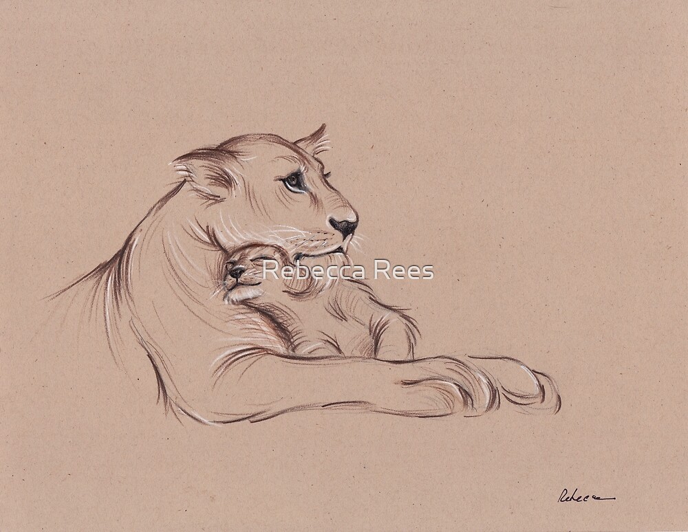 ""Guardian" - Lioness and Cub prisma pencil drawing" by Rebecca Rees ...