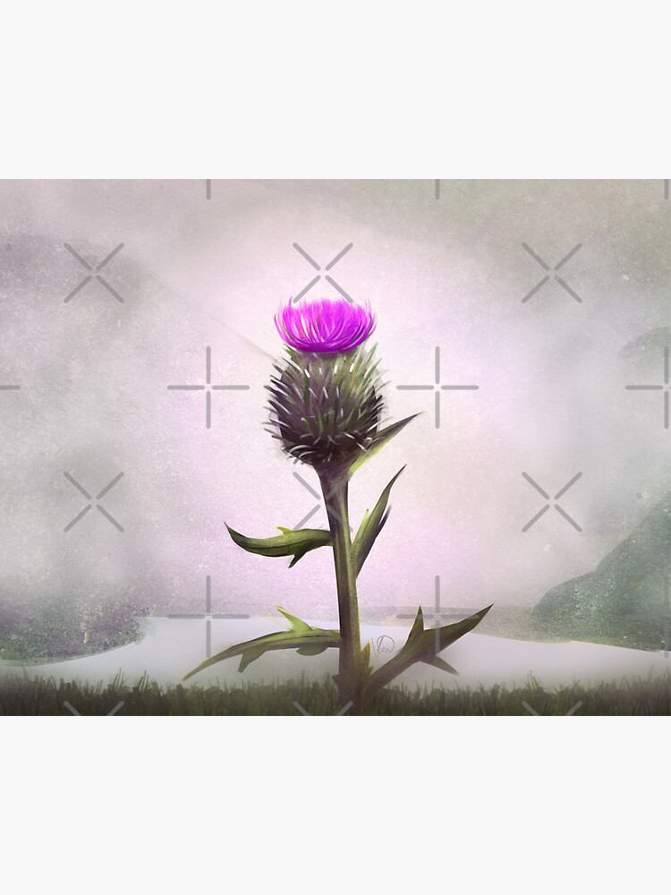 "Thistle" Sticker by Naedix | Redbubble