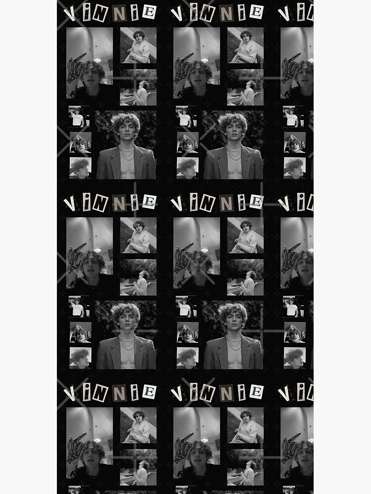 "vinnie hacker, vinnie hacker tiktoker, vinnie hacker merch, vinnie ...