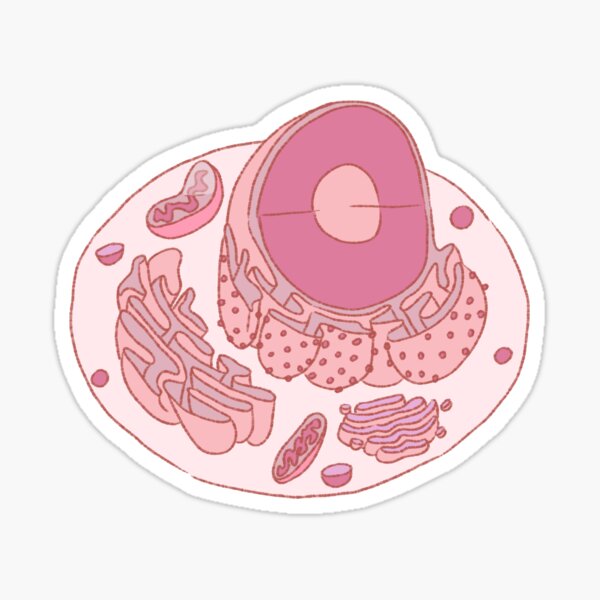 "Animal cell" Sticker for Sale by Pauli- | Redbubble