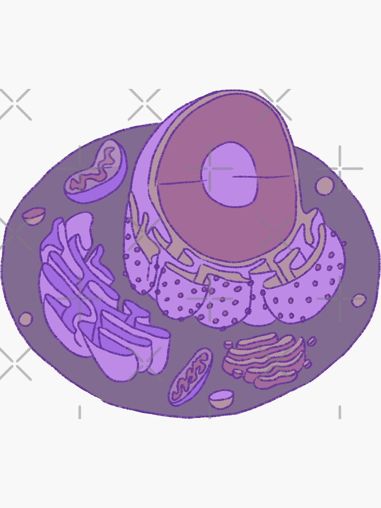 "Animal cell" Sticker for Sale by Pauli- | Redbubble