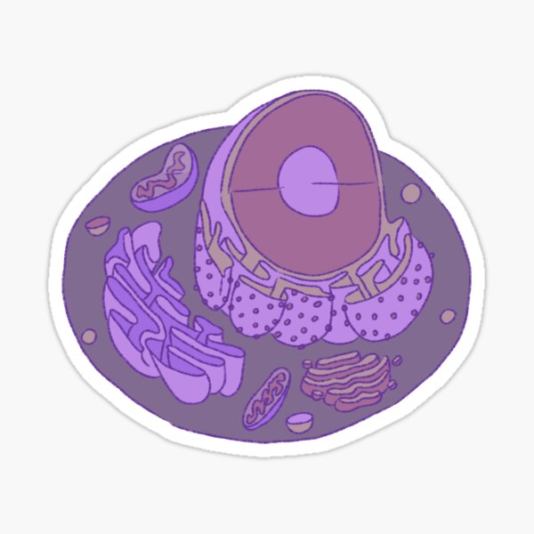 "Animal cell" Sticker for Sale by Pauli- | Redbubble