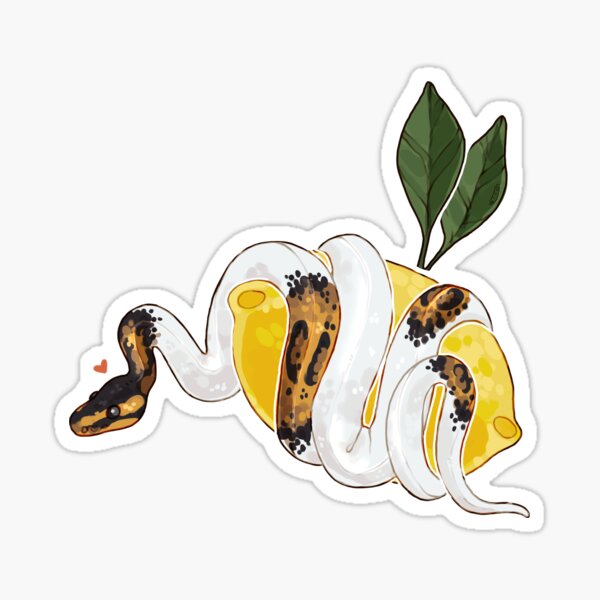 albluu Shop | Redbubble