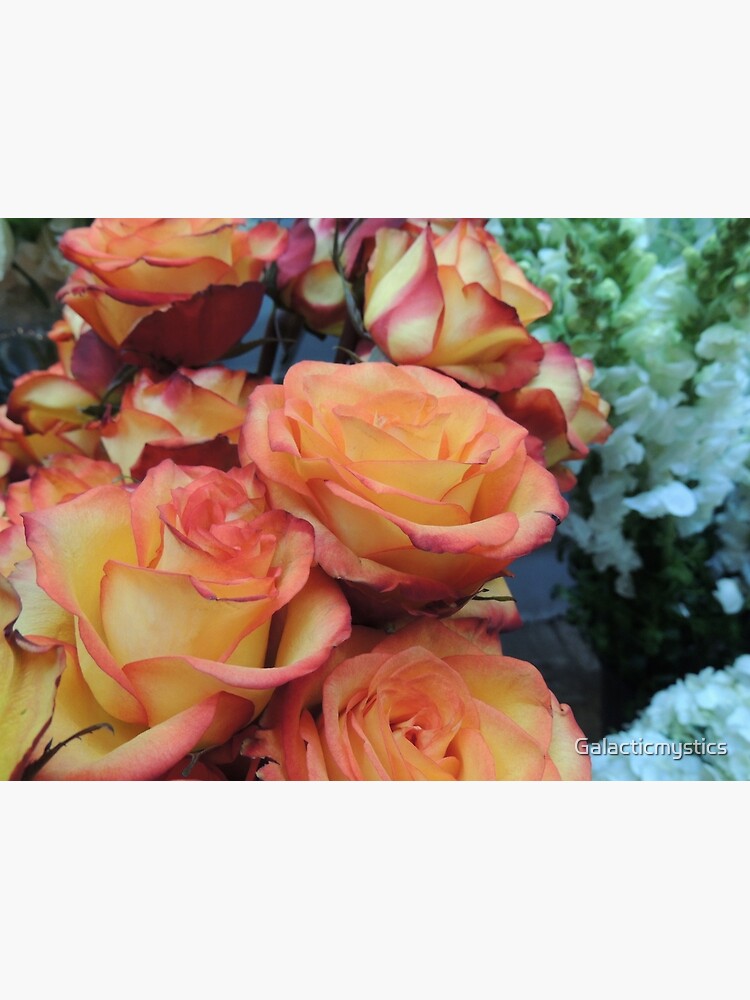 "A Bunch of Roses" Poster for Sale by Galacticmystics | Redbubble