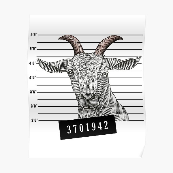 "Criminal Goat" Poster for Sale by roocky | Redbubble
