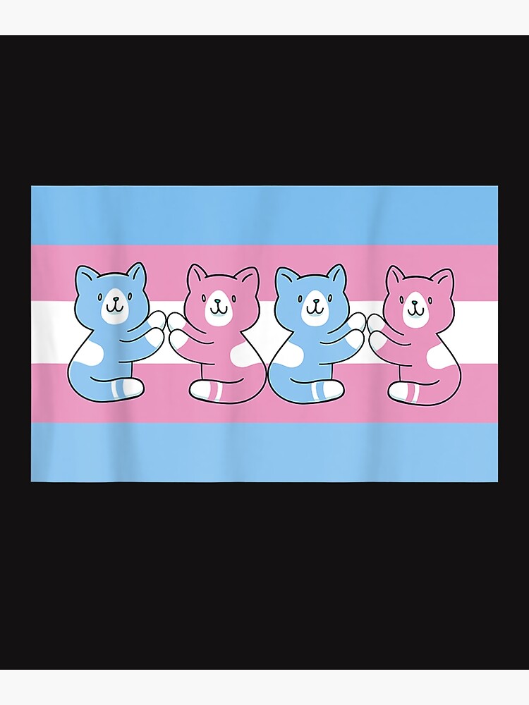 "Transgender Pride Cute Cat Flag - LGBTQIA+ - Pride Month, LGBT Flag ...
