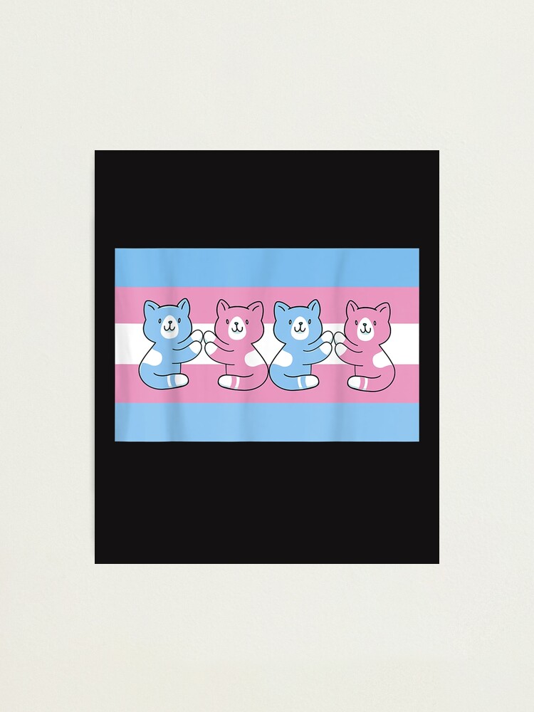 "Transgender Pride Cute Cat Flag - LGBTQIA+ - Pride Month, LGBT Flag ...