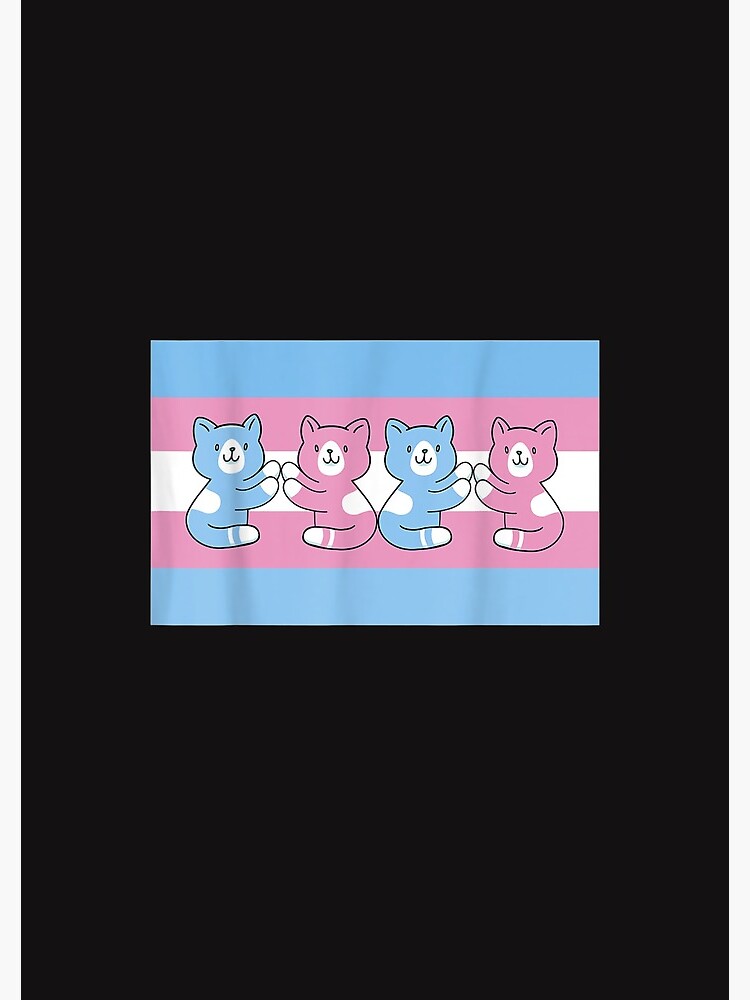 "Transgender Pride Cute Cat Flag - LGBTQIA+ - Pride Month, LGBT Flag ...