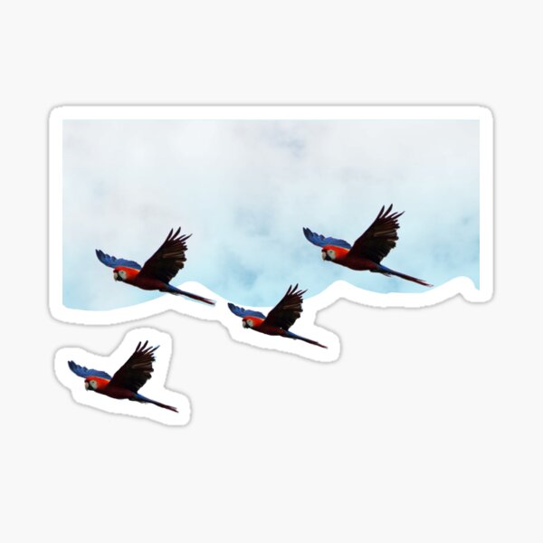 "Fly high" Sticker for Sale by sresthara | Redbubble