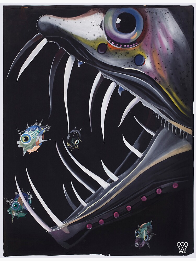 "Saber-Toothed Viper Fish" Sticker by WCS-Archives | Redbubble