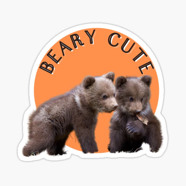 "Beary cute!" Sticker by fsultesart | Redbubble