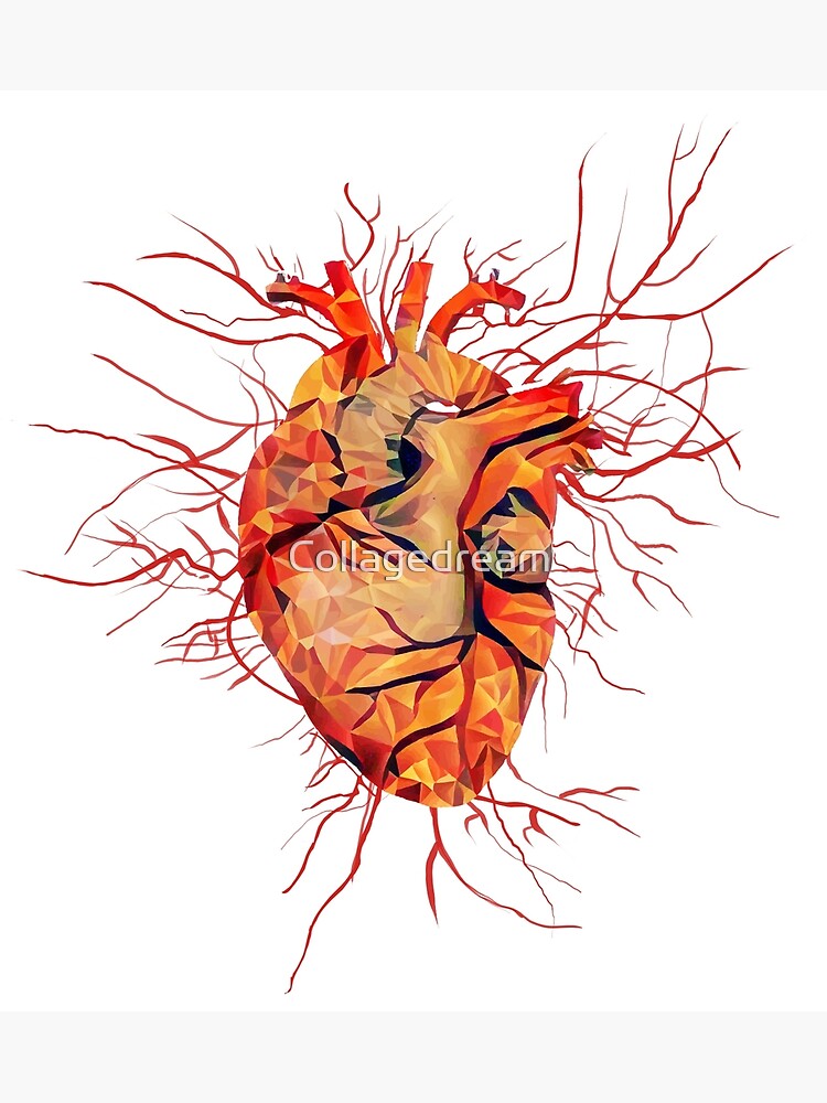 Póster «Corazón anatómico, arteria de anatomía humana, lowpoly, estilo ...