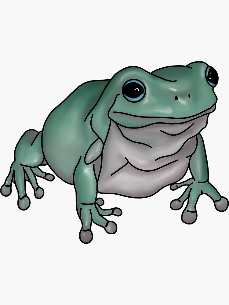 "White's Tree Frog" Sticker for Sale by shirashap | Redbubble