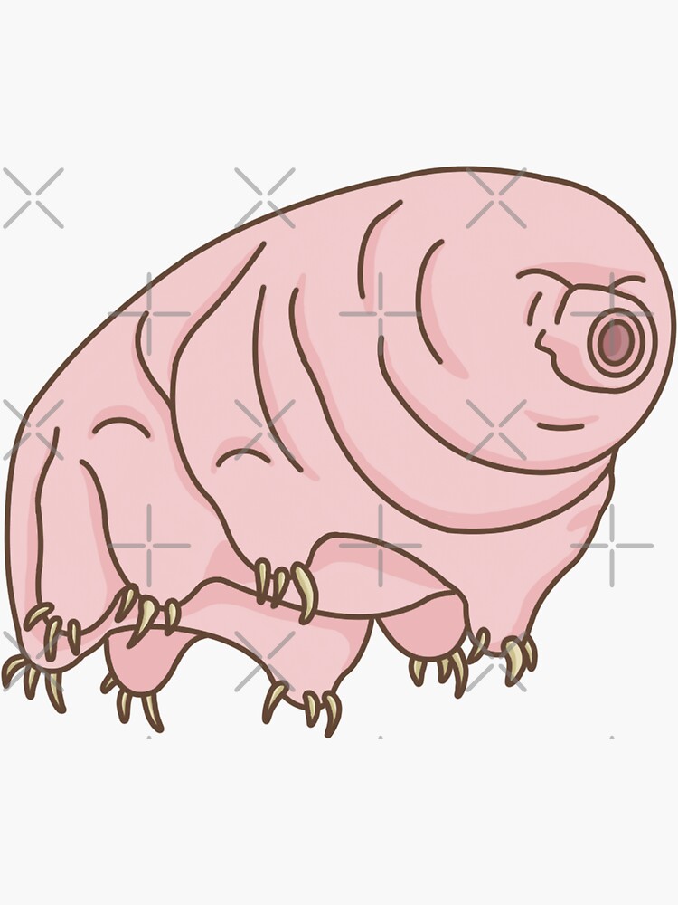 "Tardigrade" Sticker for Sale by Milanicole | Redbubble