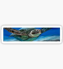 Honu: Stickers | Redbubble
