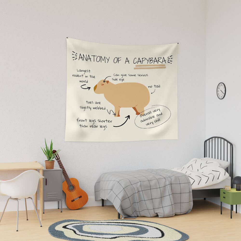 "Anatomy of a capybara" Art Board Print for Sale by sunnySaraV | Redbubble