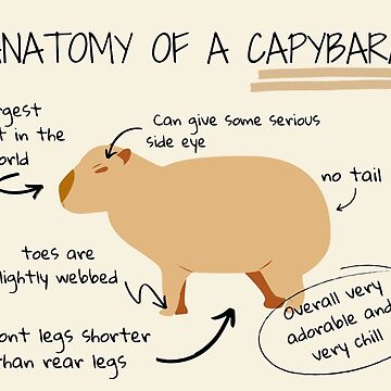"Anatomy of a capybara" Coffee Mug for Sale by sunnySaraV | Redbubble
