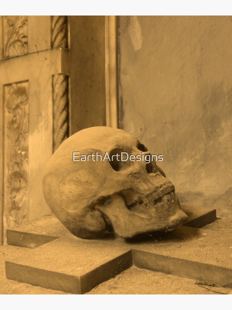 "Old World Human Skull Sepia Design" Sticker for Sale by ...