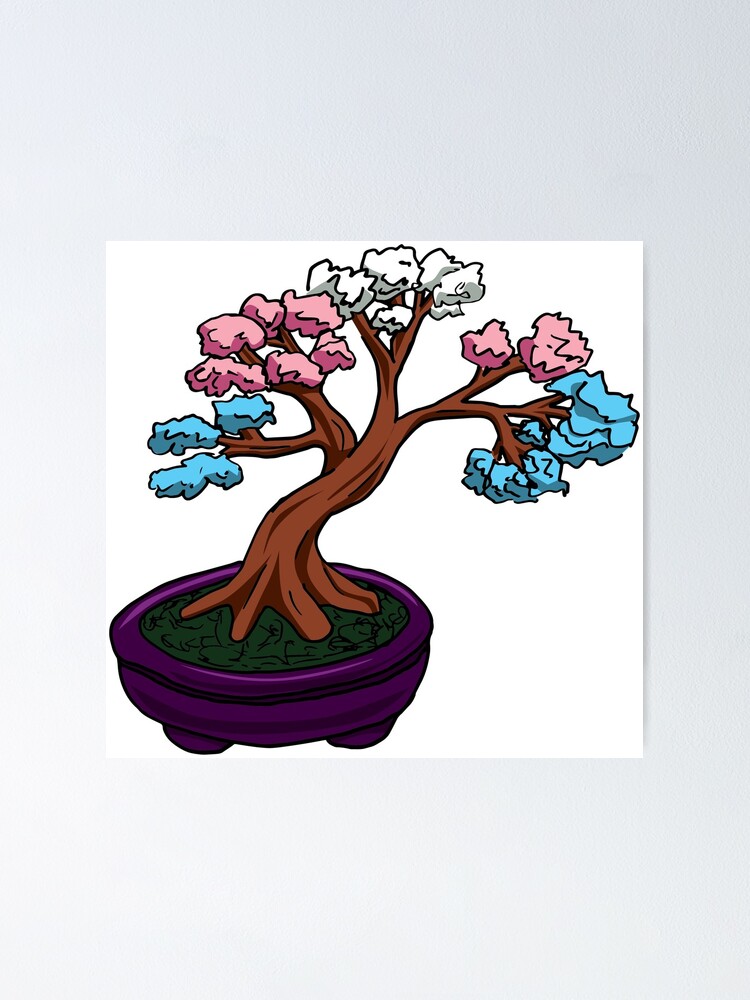 "Transgender Flag Bonsai - Trans Pride Tree - Let’s Plant More Trees ...