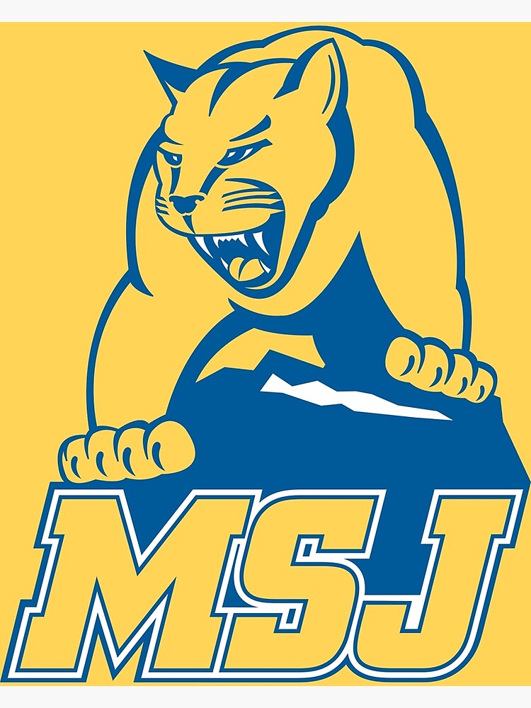 Mount St Joe Logo