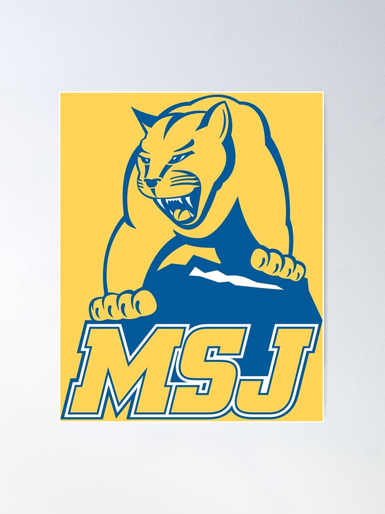 Mount St Joseph Logo Mount St. Joseph University | New Careers In