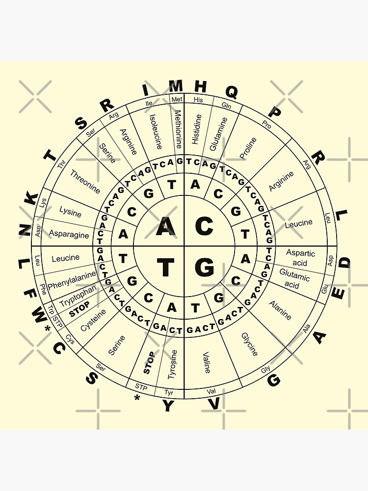 Wheel of Nucleotides to Protein:The Genetic Code Premium Matte Vertical ...