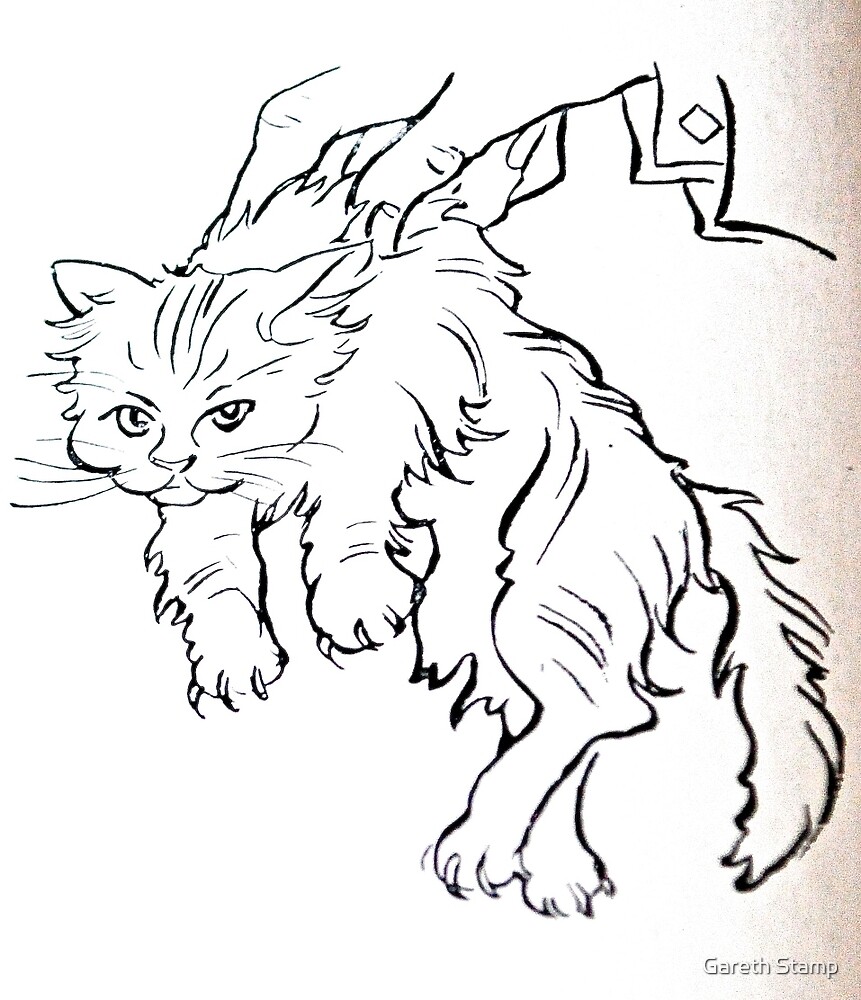 "Put the Cat out!" by Gareth Stamp | Redbubble