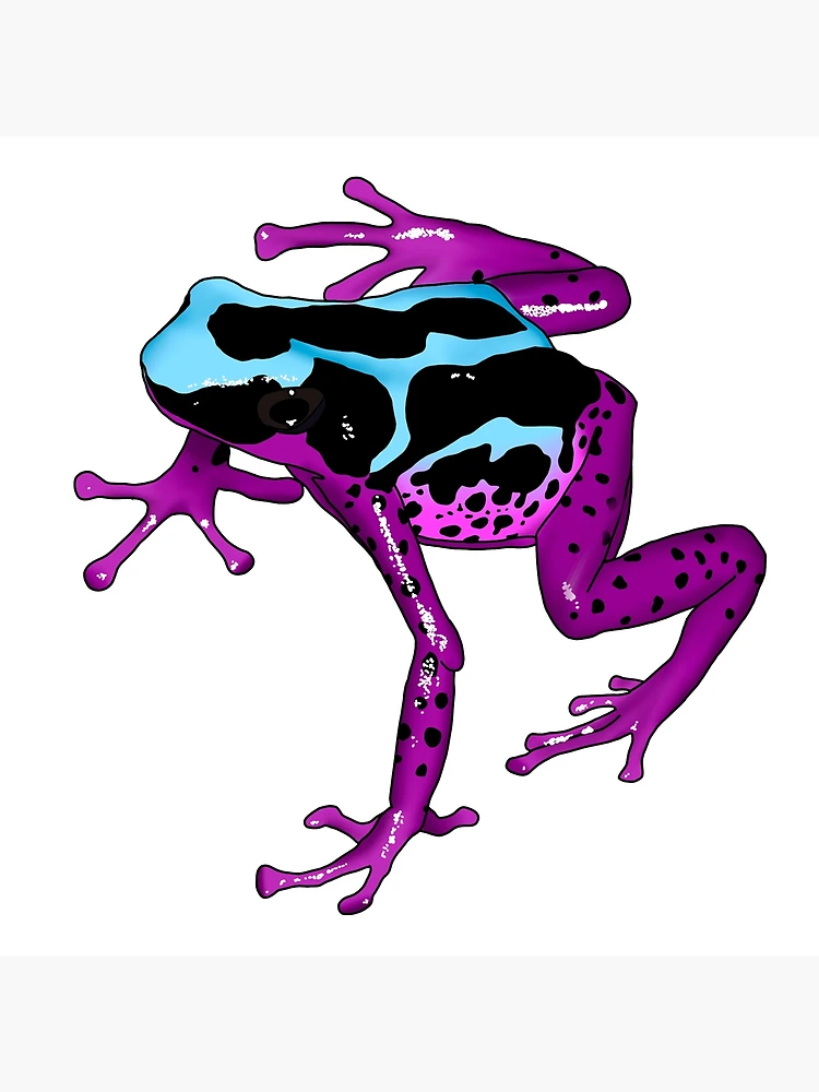 Purple Poison Frogs