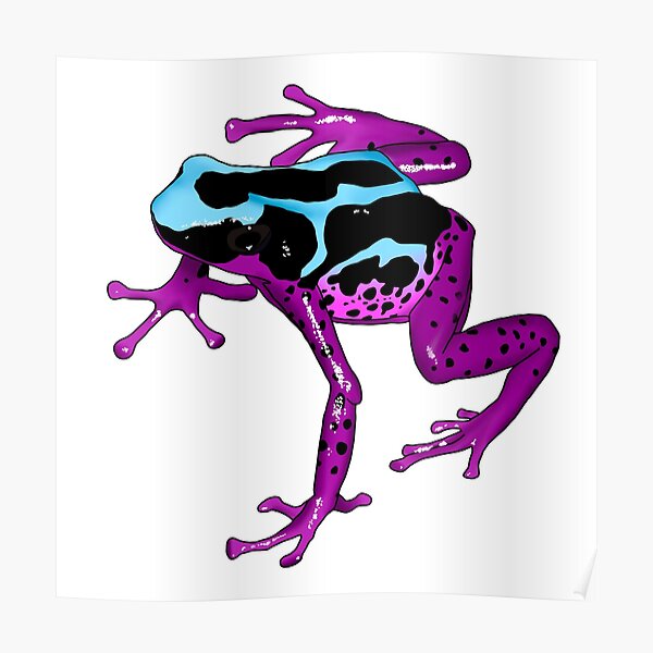 "Poison Dart Frog" Poster by shirashap | Redbubble