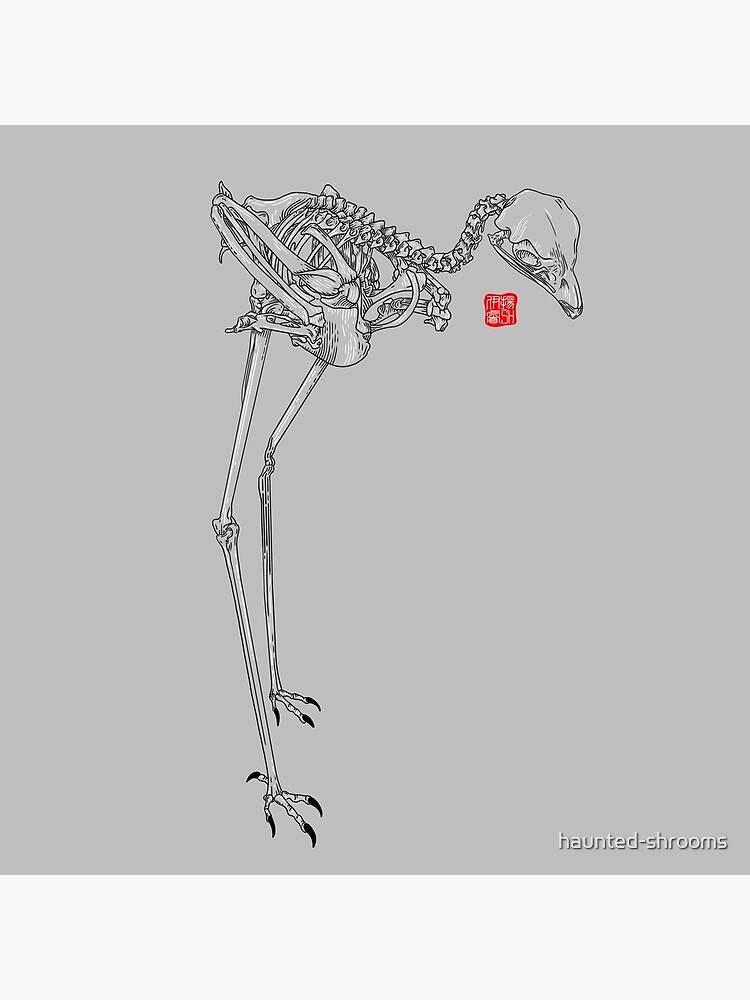 "Secretary bird lineart drawing" Art Print by haunted-shrooms | Redbubble