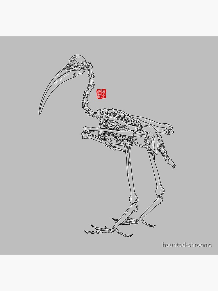 "Ibis Skeleton line art drawing" Art Print by haunted-shrooms | Redbubble