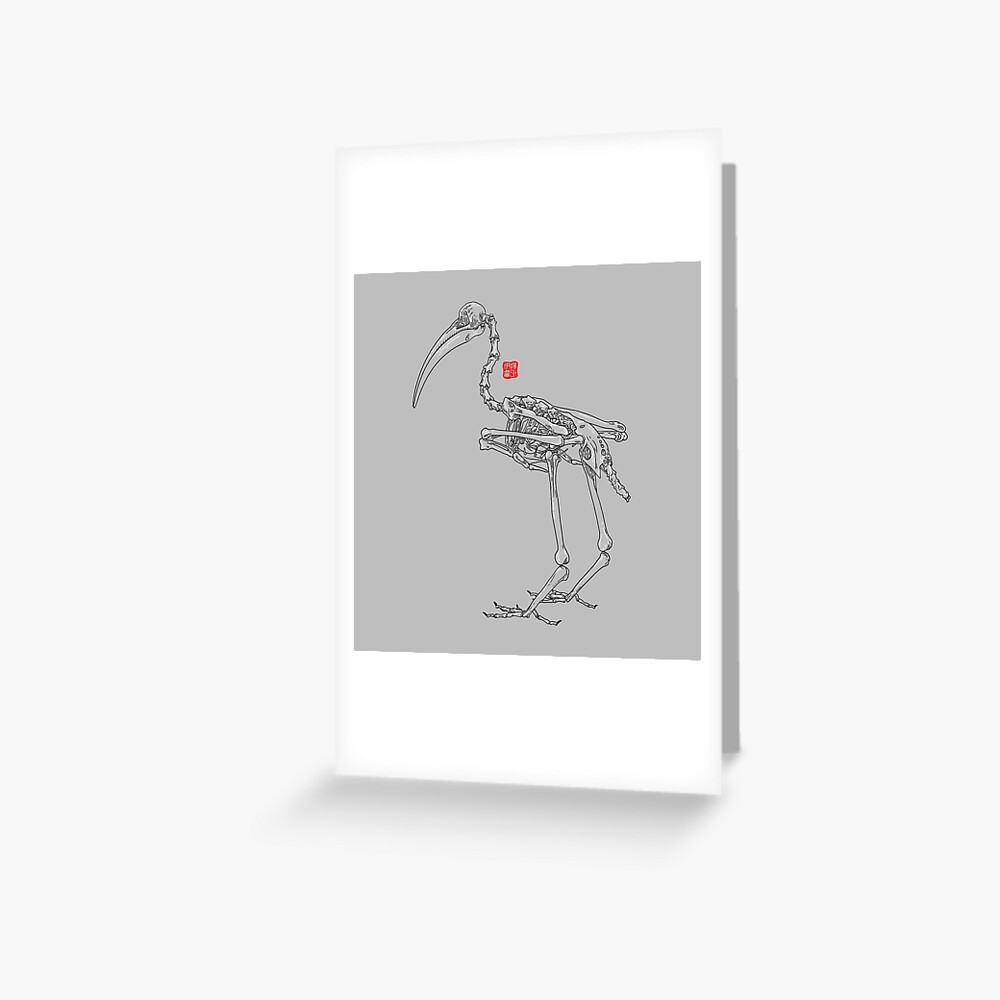 "Ibis Skeleton line art drawing" Greeting Card by haunted-shrooms ...