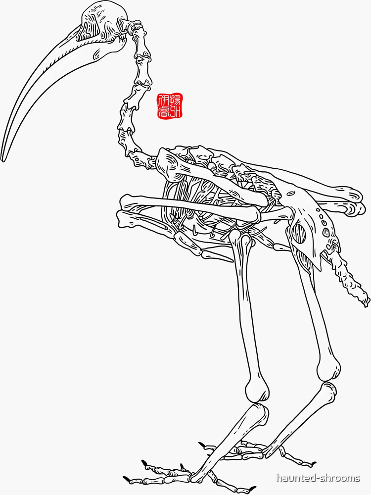"Ibis Skeleton line art drawing" Sticker for Sale by haunted-shrooms ...
