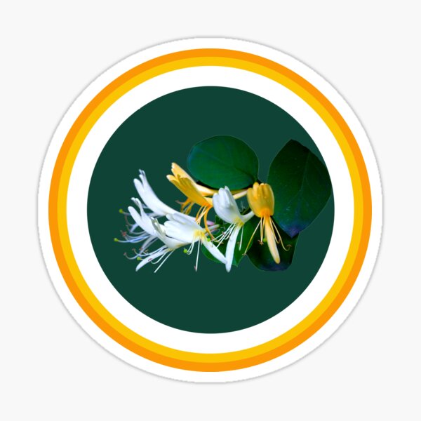 "Honeysuckle" Sticker for Sale by artistoutfitter | Redbubble