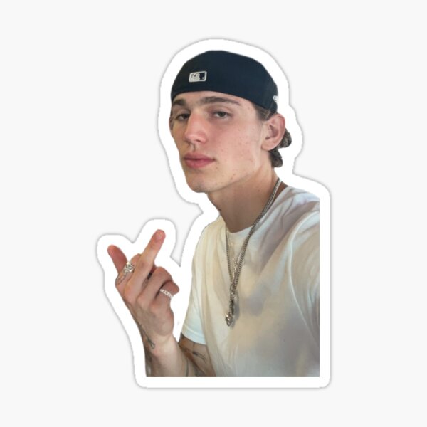 "vinnie is a mood" Sticker by lustrovsdesigns | Redbubble