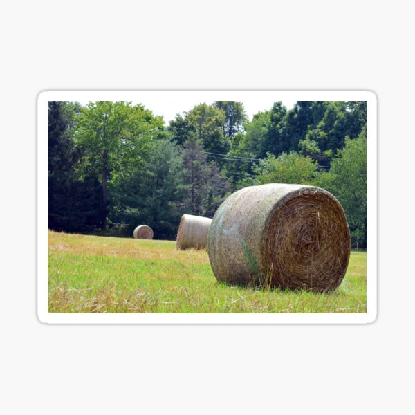 "Field of hay" Sticker by bradleyduncan | Redbubble
