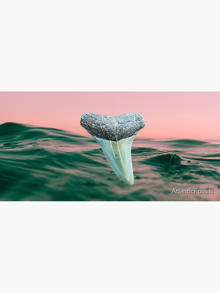 "Pink Ocean Sunset Shark Tooth Fossil in the Waves " Poster by ...
