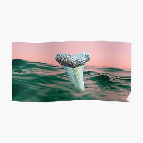 "Pink Ocean Sunset Shark Tooth Fossil in the Waves " Poster by ...