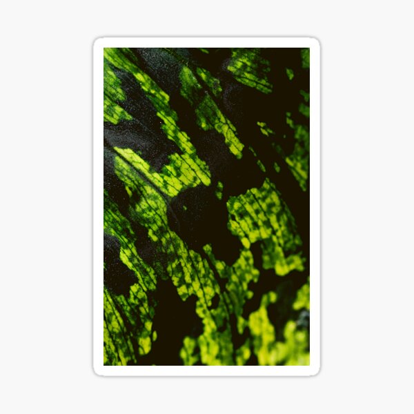 "Deep Green, Green Leaves Painting, Dark Green Wall Decor, Sage Green ...