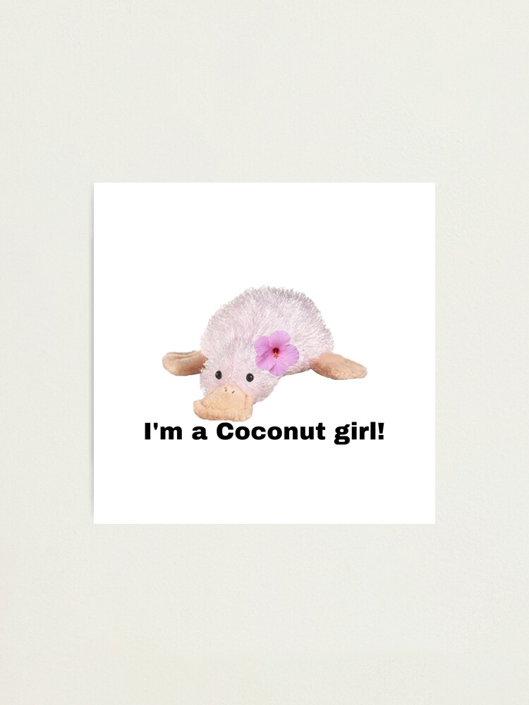 "Webkinz waddles I’m a coconut girl meme" Photographic Print for Sale ...