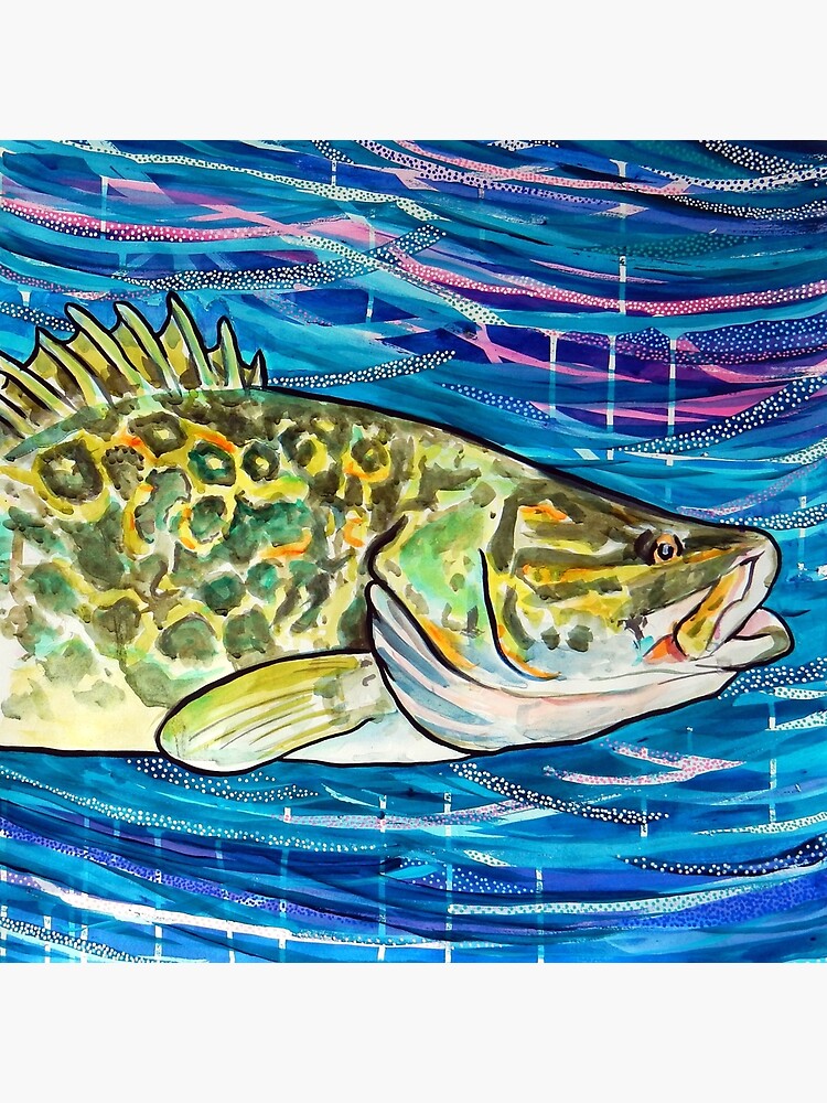 "Murray Cod with Blue" Art Print by poswin | Redbubble