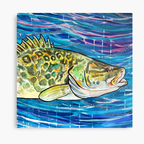 Murray Cod Wall Art | Redbubble