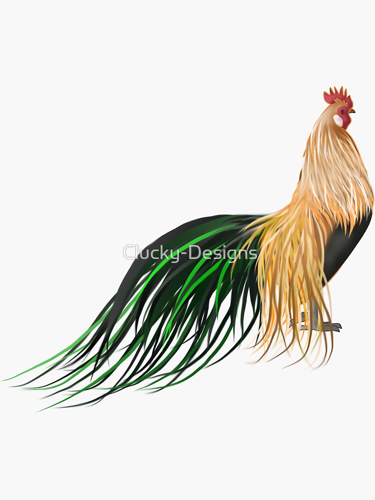 "Golden Phoenix Rooster" Sticker for Sale by Clucky-Designs | Redbubble