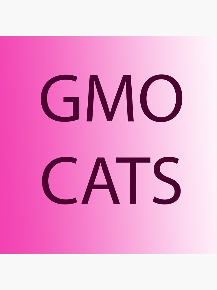 "GMO CATS " Sticker for Sale by BriannaBanscher | Redbubble